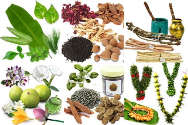 Flowers in Puja: Meaning, Types, Ritual Use, and Significance