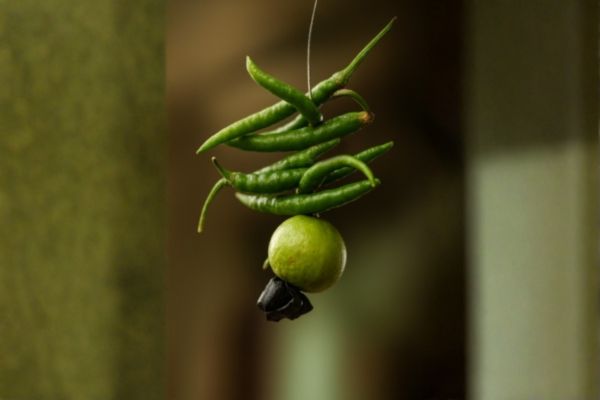 Why Do We Hang Nimbu Mirchi? Meaning, Significance & Beliefs